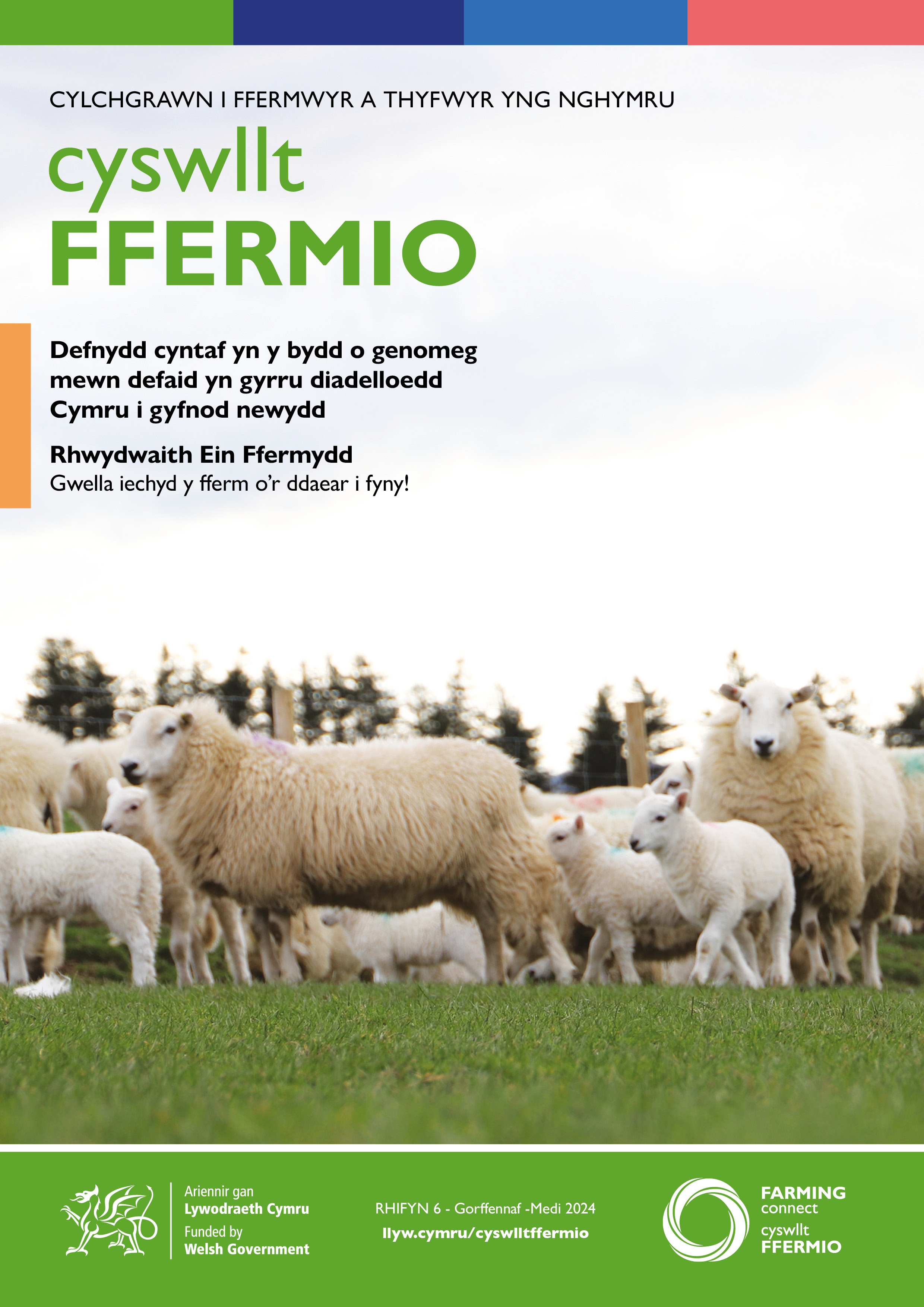 Cyswllt Ffermio - Rhifyn 6 - Gorffennaf -Medi 2024 | Farming Connect