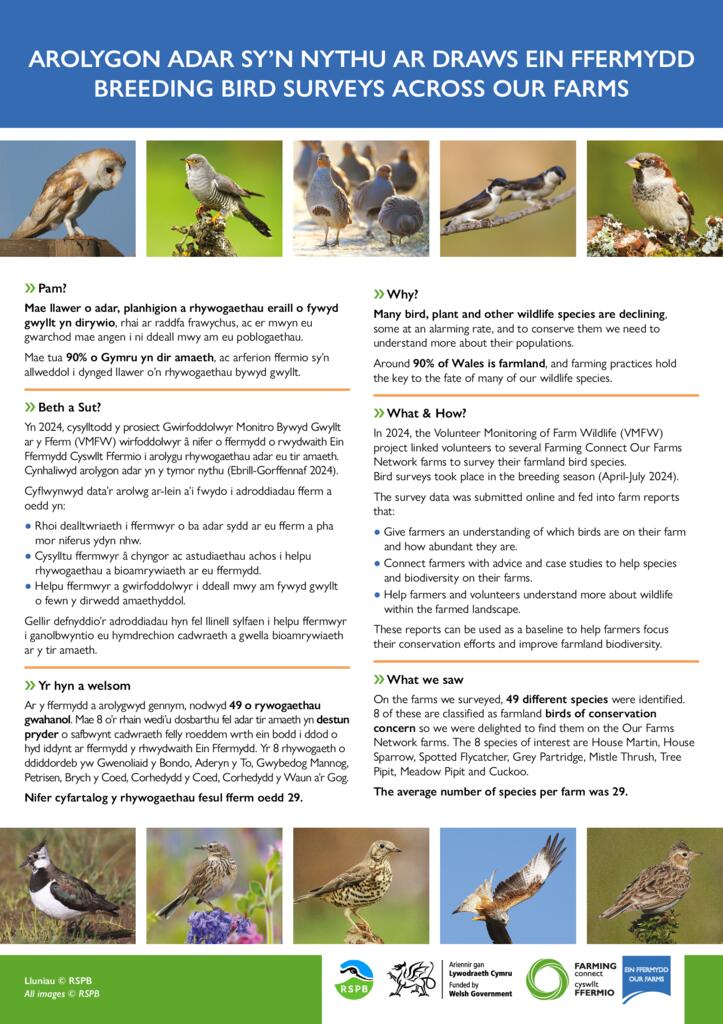 Breeding Bird Surveys Across Our Farms | Farming Connect