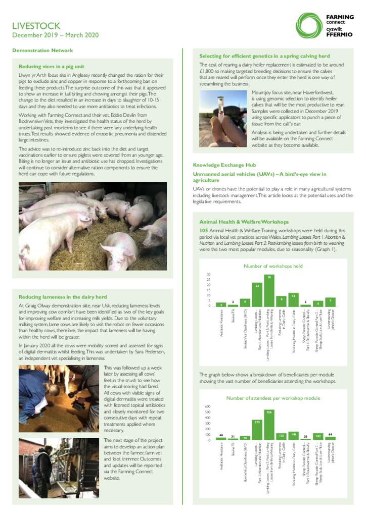Livestock: December 2019 – March 2020 | Farming Connect