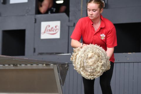 British Wool - Wool Handling | Farming Connect