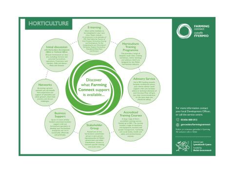Discover what Farming Connect support is available - Horticulture ...