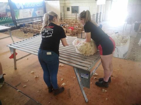 Elite Wool Industry Training UK - Wool Handling Course | Farming Connect