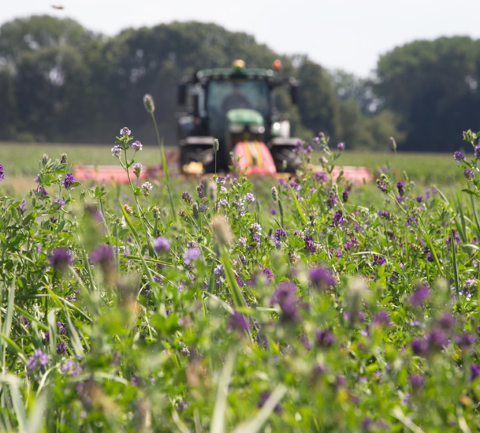 Sustainable Farming – Mixed Farming | Farming Connect