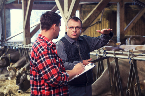 The Rural Manager- effective communication skills | Farming Connect