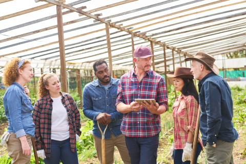 The Rural Manager – Motivation and Teamwork | Farming Connect