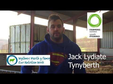 Organic indoor/outdoor lambing + bales (Jack Lydiate, Tynyberth ...