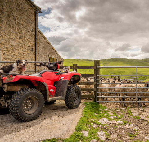 Farm Safety – Working Safely with All Terrain Vehicles (ATV’s ...