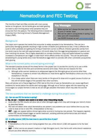 Nematodirus and FEC Testing - 17/04/2020 | Farming Connect