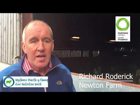 Self-feed system (Richard Roderick, Newton Farm) | Farming Connect