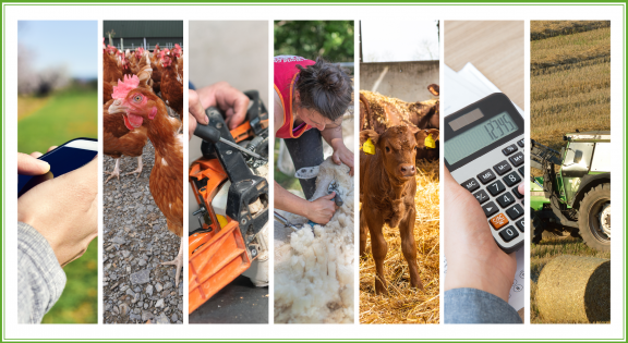 Farming Connect - helping you drive your business forward | Business Wales