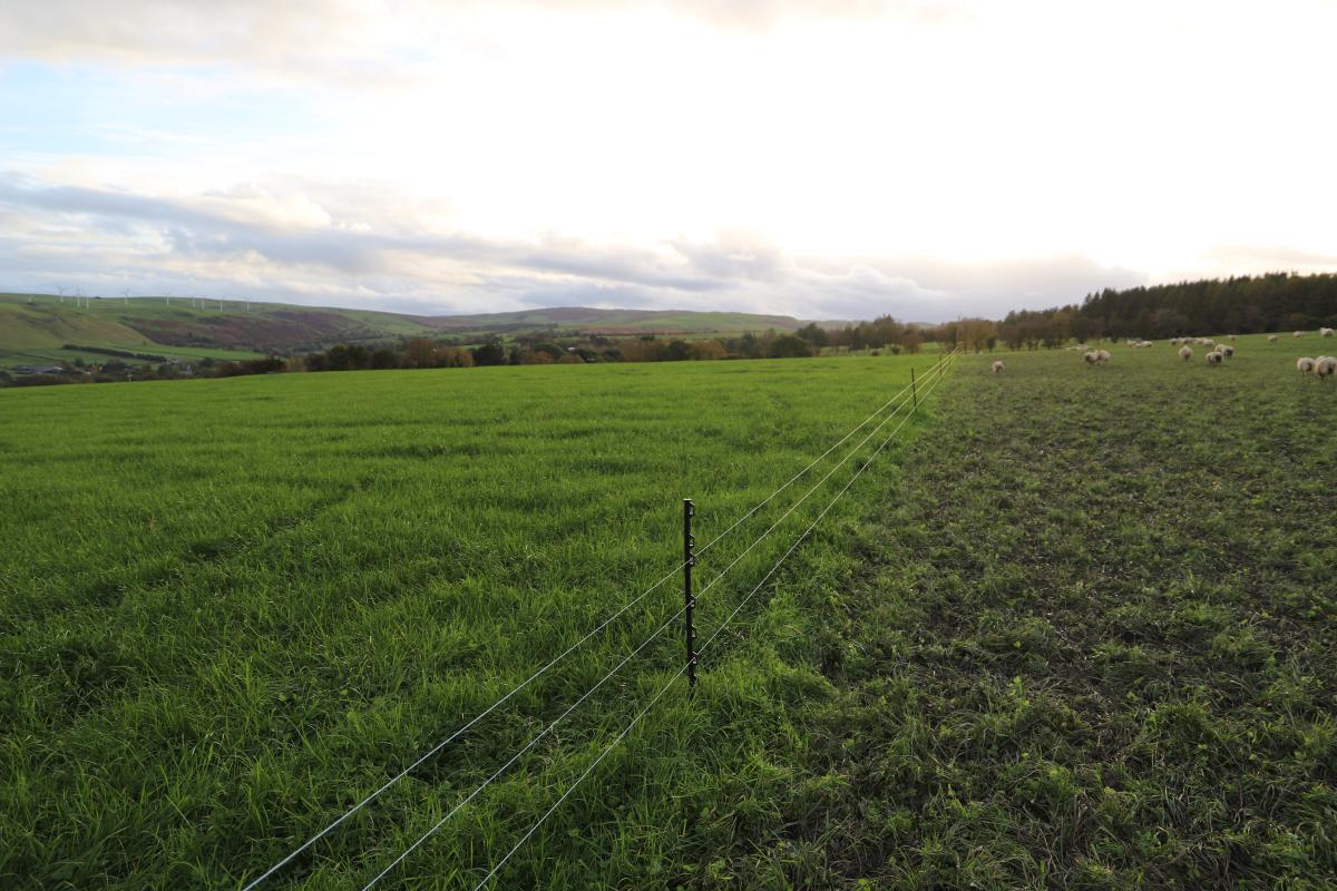 Ambition to cut concentrate use moves forward with Farming Connect red ...