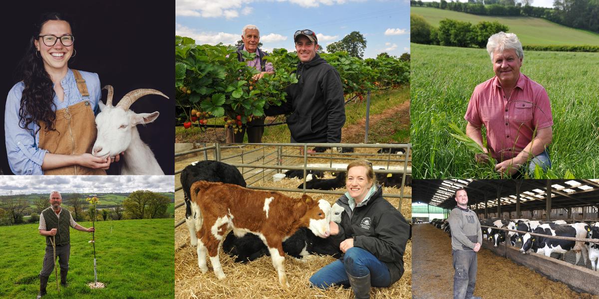 Funding window to re-open for on-farm trials in Wales | Farming Connect