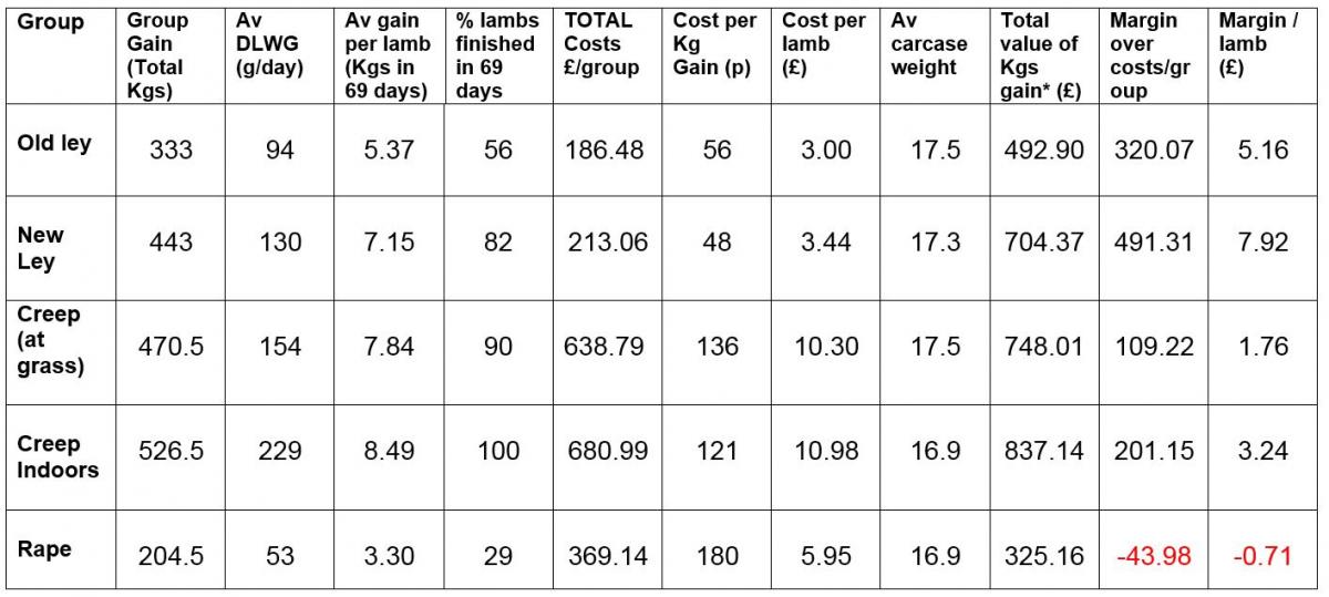 Project helps evaluate profitable and practical lamb finishing options ...