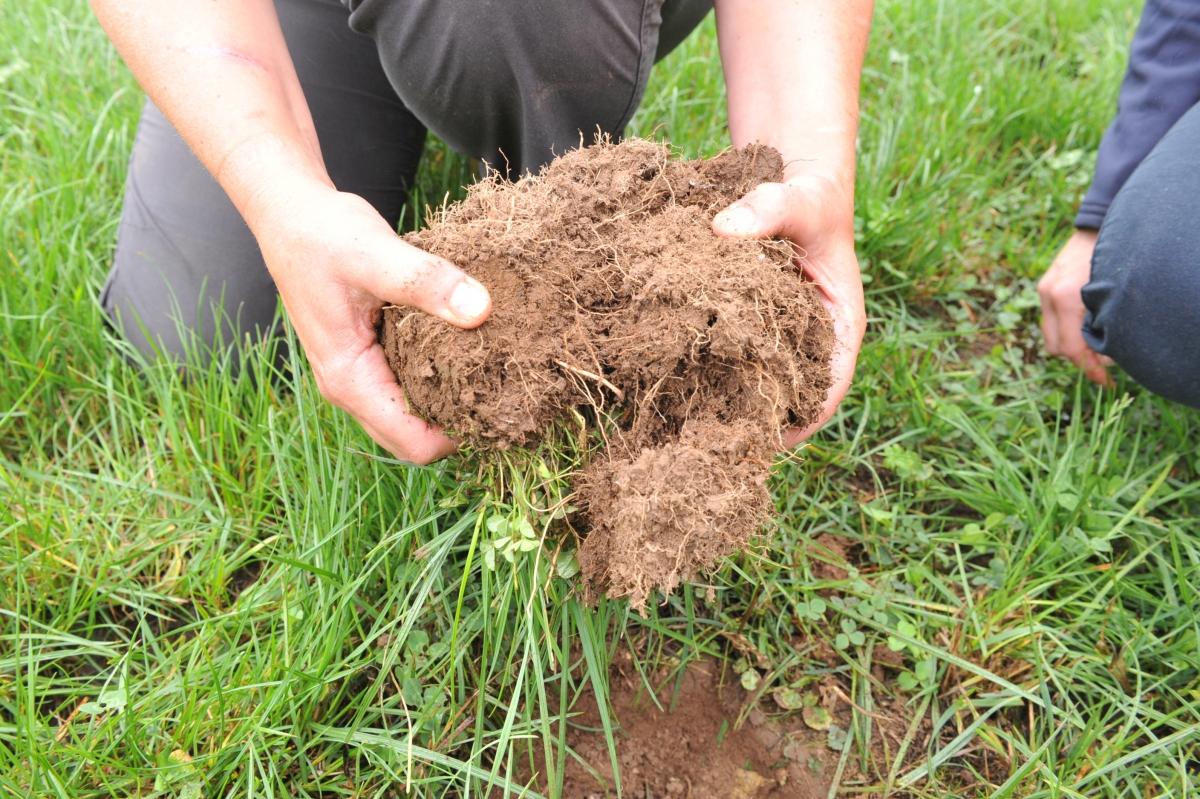 Good soil husbandry under the spotlight at Farming Connect Master Soils ...