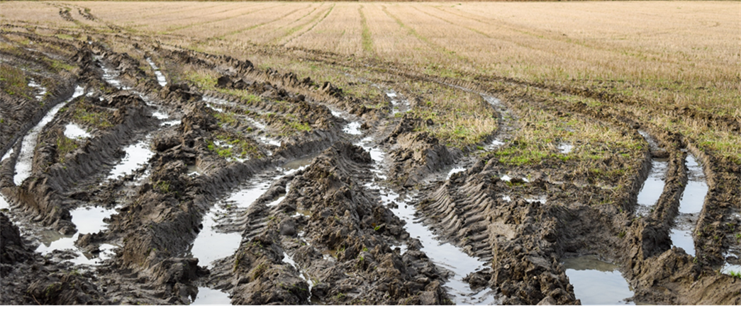 Land management and grazing for upland farms: incorporating more ...