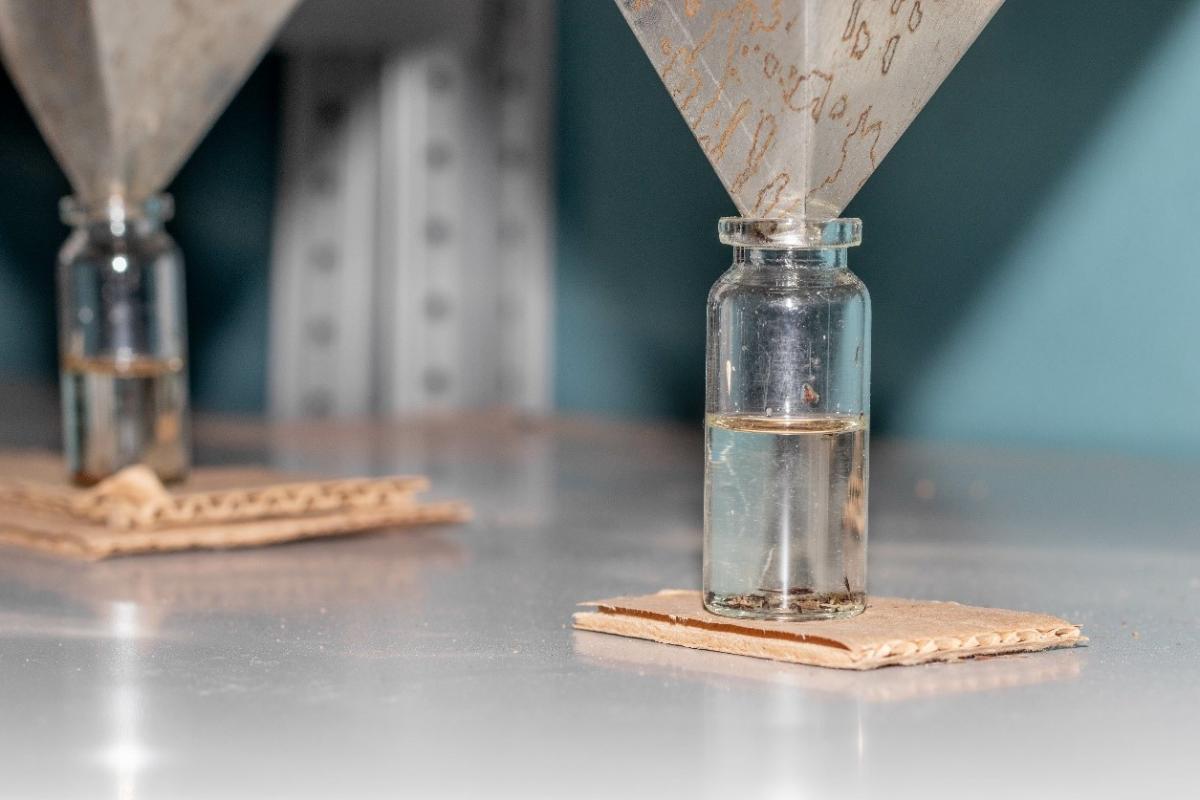 Biological Indicators of Soil Health | Farming Connect