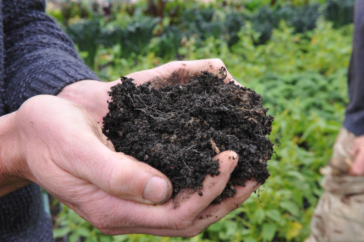 14.8% uplift in vegetable performance with biochar and compost added to ...