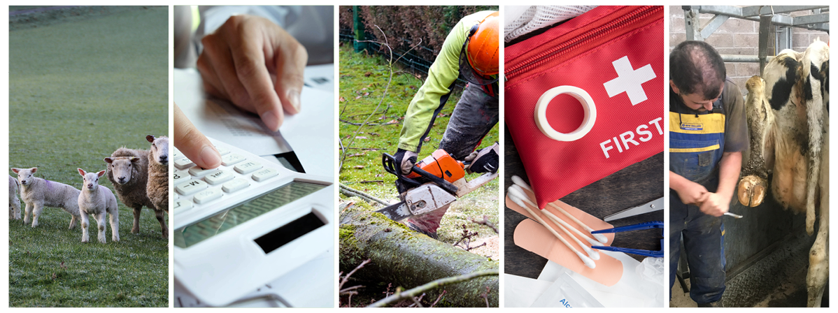 Training Courses | Farming Connect