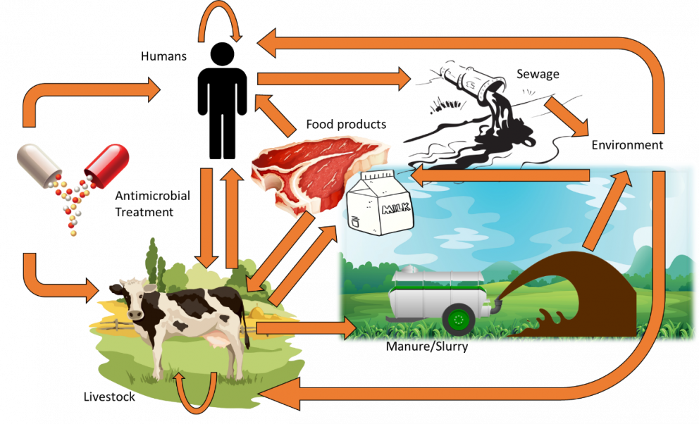 Antimicrobial resistance (AMR): Can precision technologies help ...
