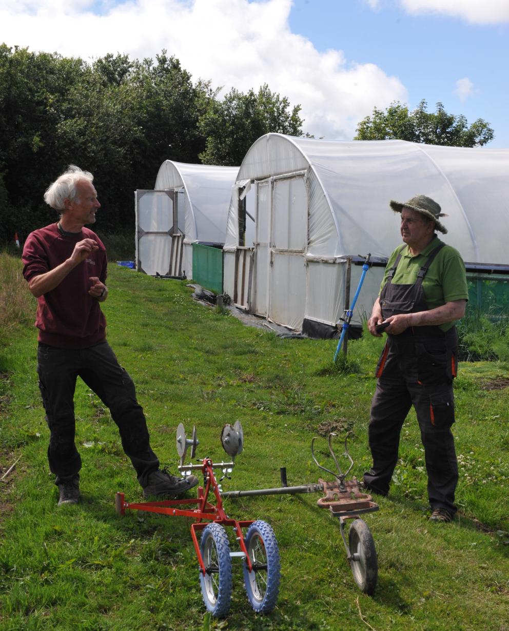 Farming Connect restarts its on-site events programme | Farming Connect