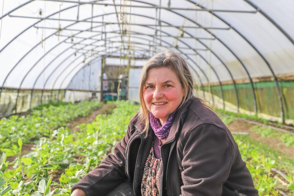 Veg growers use Farming Connect to plug gaps in knowledge to develop ...