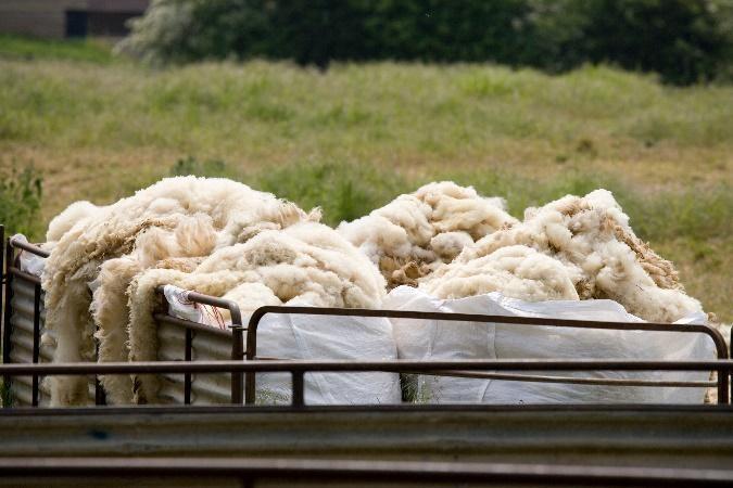 Future Opportunities for Sheep Genetics in Wales: Breeding for Improved ...