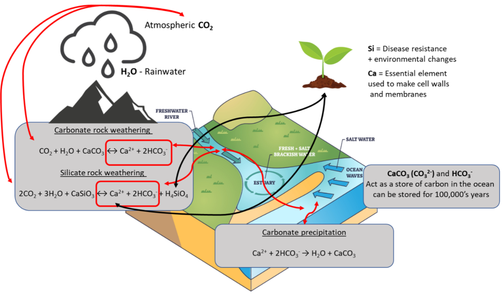 Hitting rock bottom: can silica rocks mitigate agricultural emissions ...