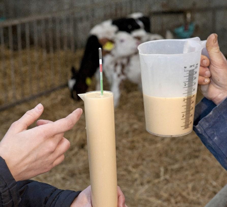 Colostrum management for the best start in life | Farming Connect