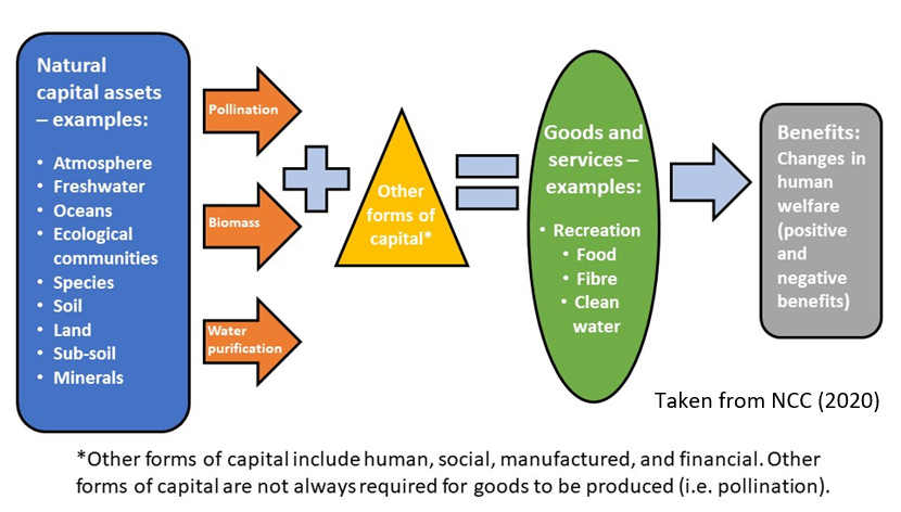 Using a natural capital approach to value land management approaches ...