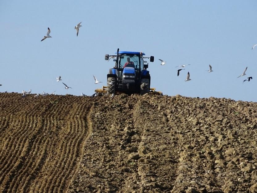 Better soil management: reducing or stopping soil tillage | Farming Connect
