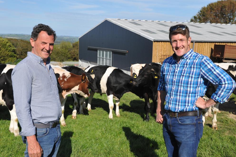 Investing £15,000 in grazing infrastructure halves beef farmer’s winter ...