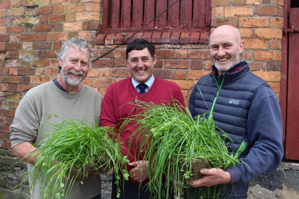 Pioneering Welsh grassland farm is the first in the country to grow a ...