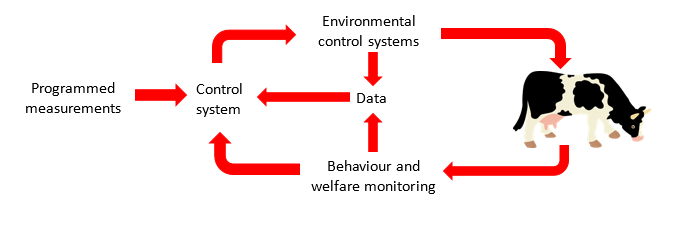 Precision Livestock Farming | Farming Connect