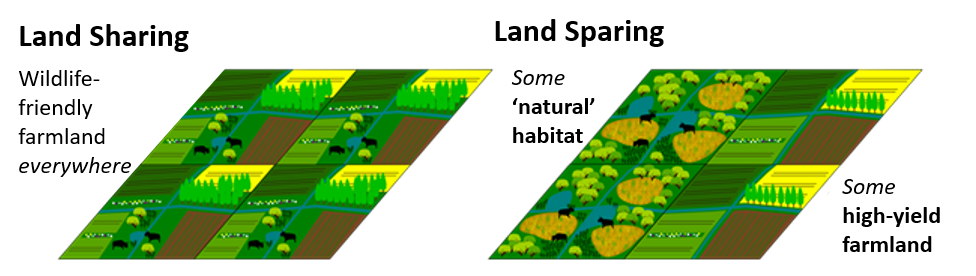 Land sparing and land sharing – considerations for farming with nature ...