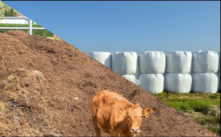 Reducing greenhouse gas emissions from ruminant farming: Part 1 ...