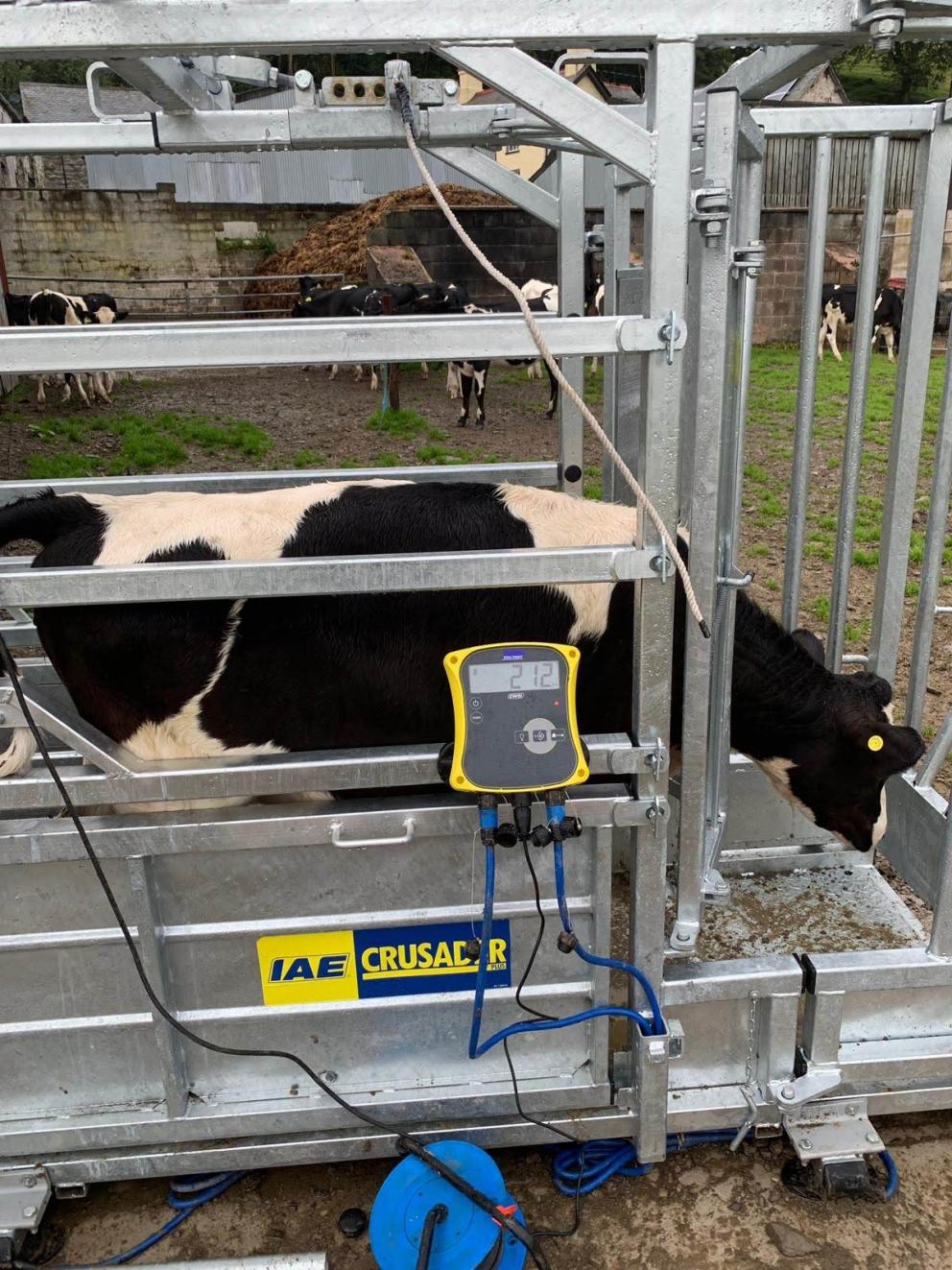 Llys Dinmael - Project Update | Farming Connect