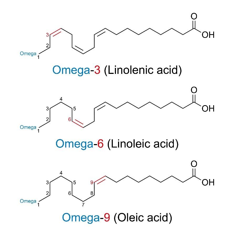 The effect of production system on the omega-3 and omega-6 fatty acid ...