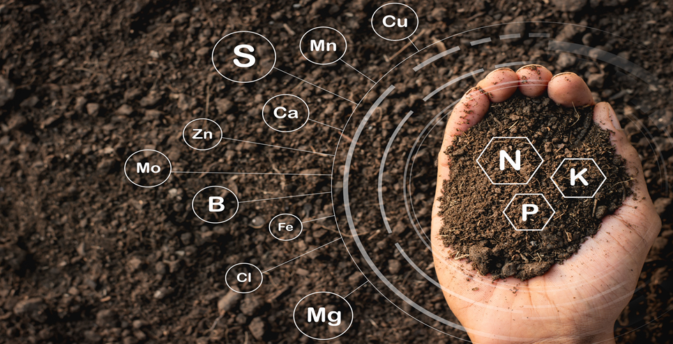 Organic arable farming and climate impacts | Farming Connect