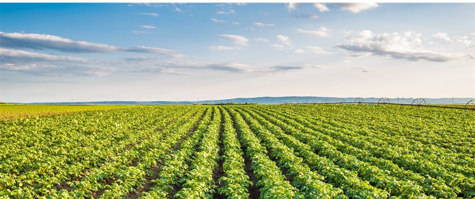 Organic arable farming and climate impacts | Farming Connect