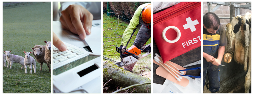 Training Courses | Farming Connect