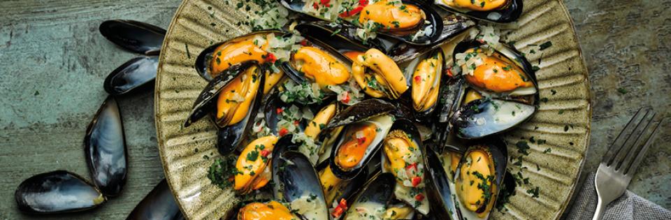 Conwy Mussels (PDO) | Business Wales - Food and drink