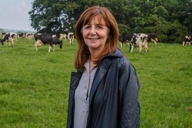 Fair access to Sustainable Farming Scheme for tenant farmers is vital ...