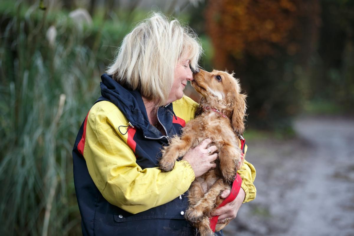 Hope Rescue | Business Wales - Social Business Wales